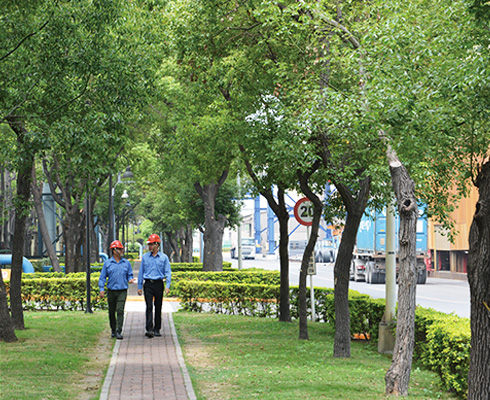 Life with Walsin Lihwa – Walsin Lihwa